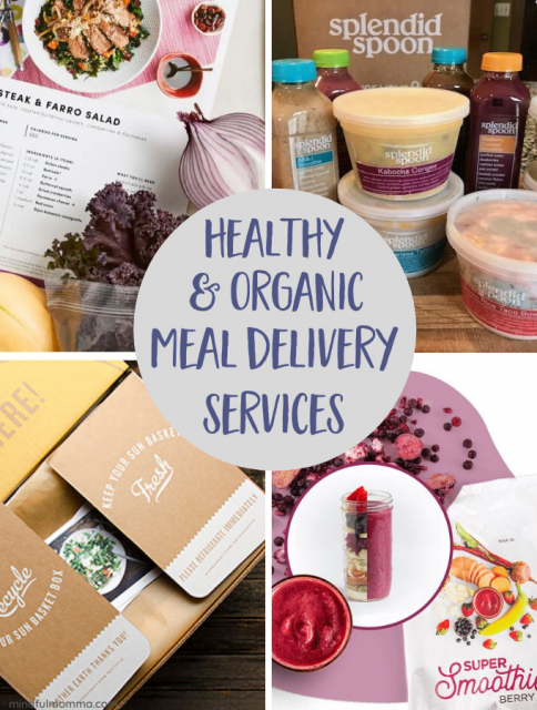 Helpful Organic Meal Delivery Services For Your Busy Life