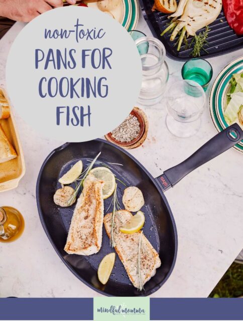 Alva Cookware Review: Best PFAS-Free Pan For Cooking Fish